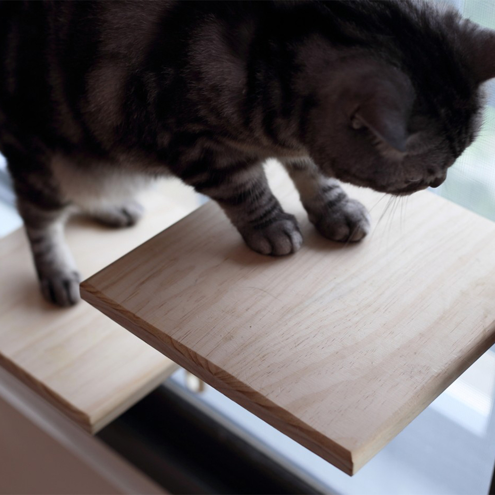 FECA - otomap合同会社｜台湾商社