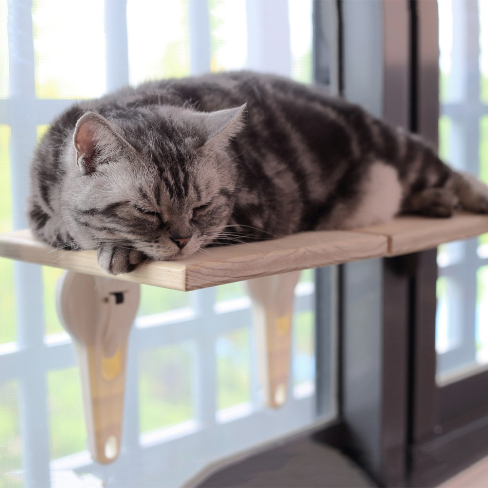 FECA - otomap合同会社｜台湾商社