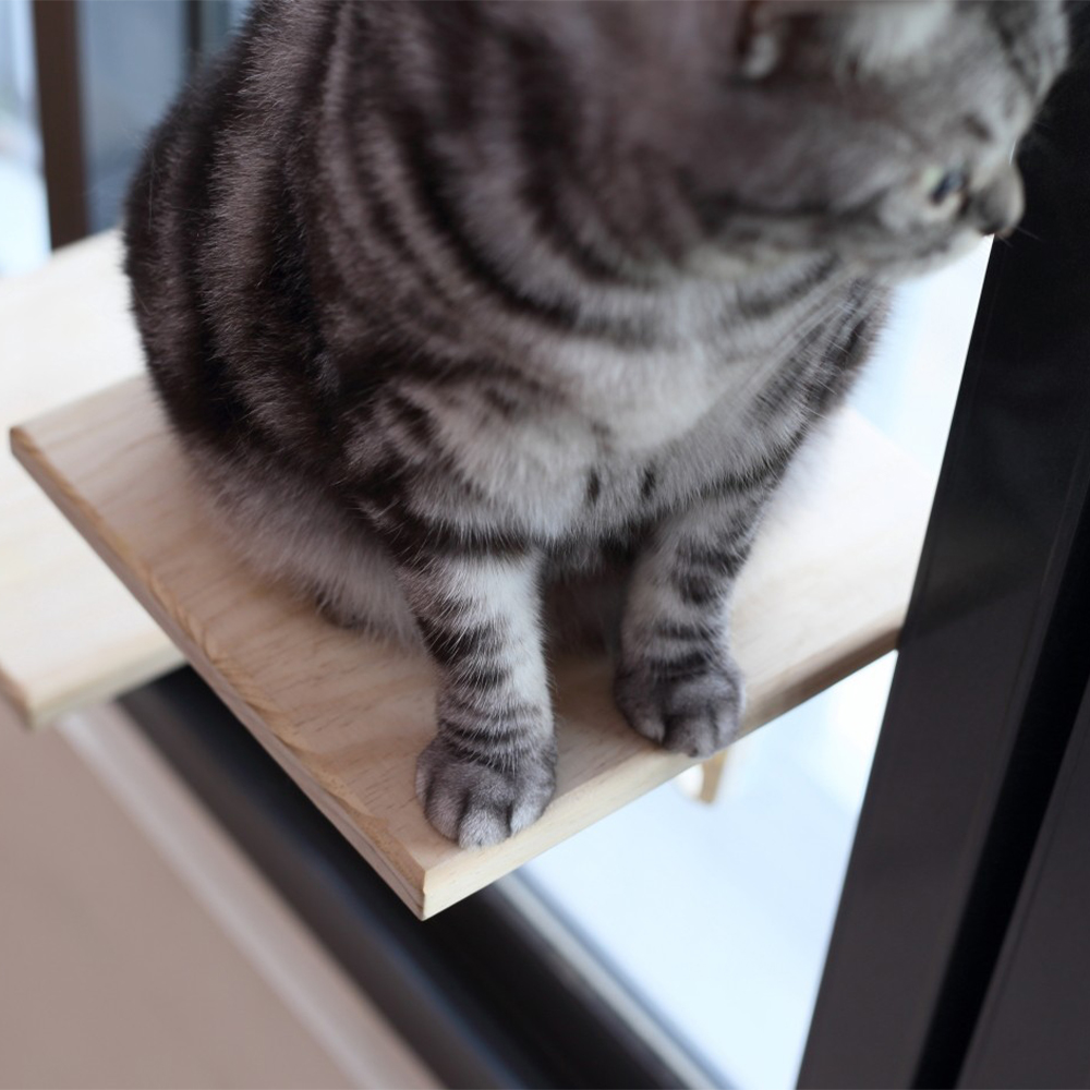 FECA - otomap合同会社｜台湾商社