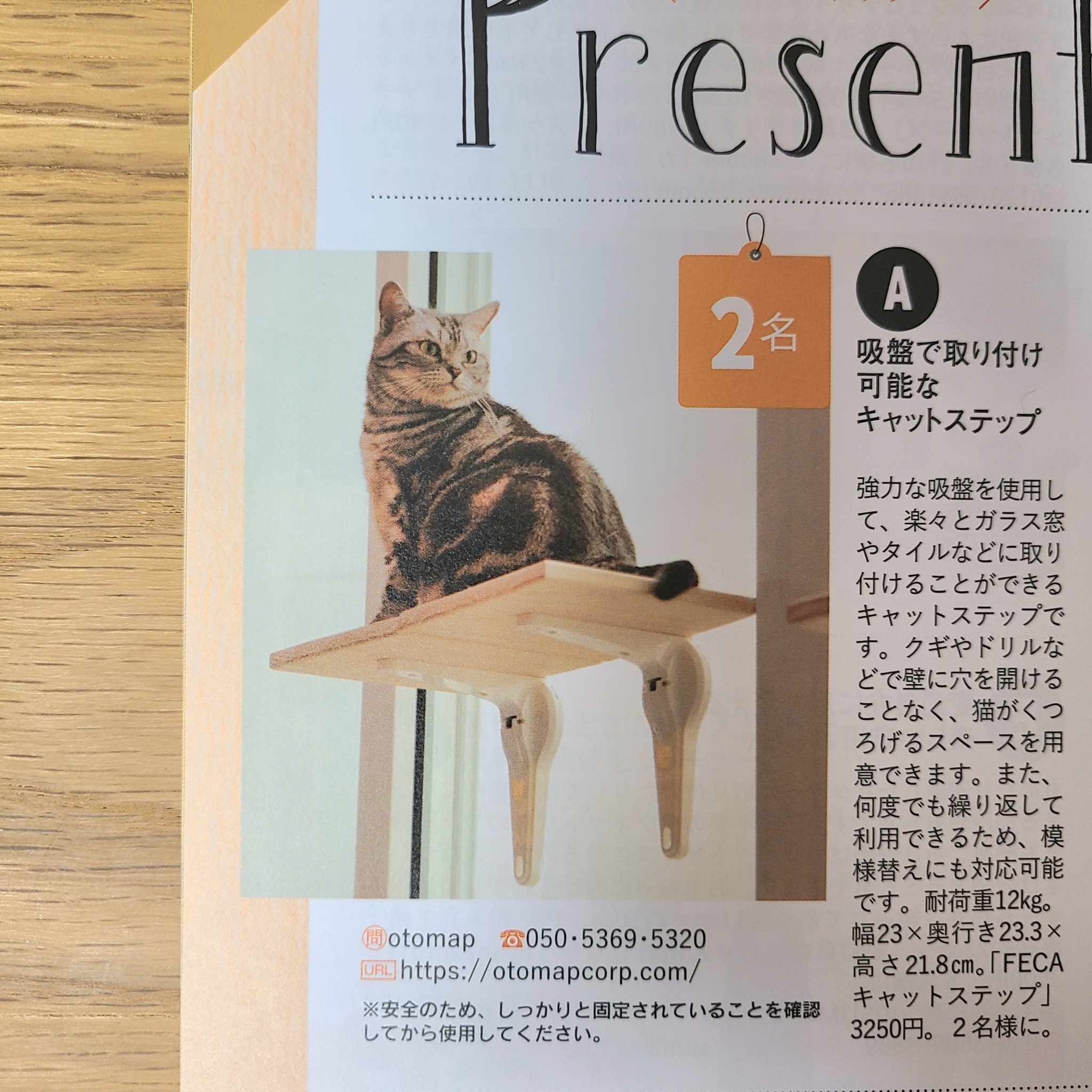 『ねこのきもち』にて「FECA キャットステップ」が紹介されました - otomap合同会社｜台湾商社